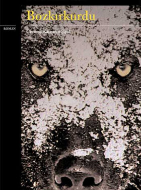 Roman (Yerli) | Online kitap oku